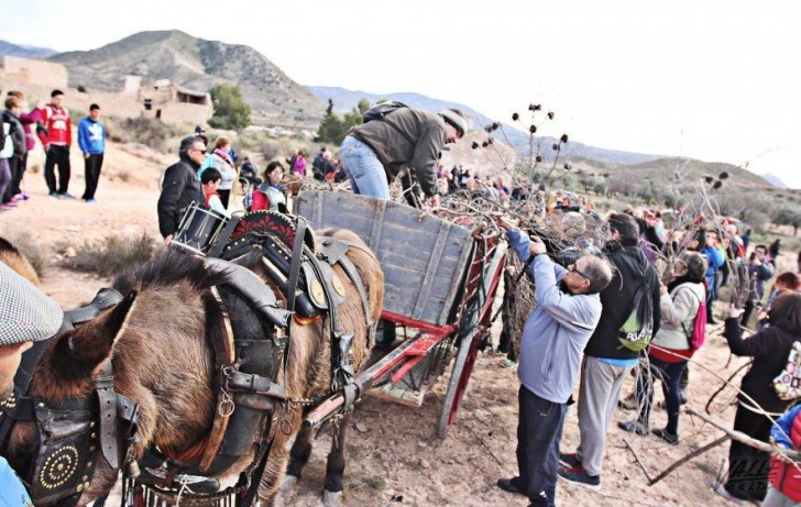 La Mayordomía celebra la octava ruta de recogida de leña para la hoguera de San Antón - Valle de ...