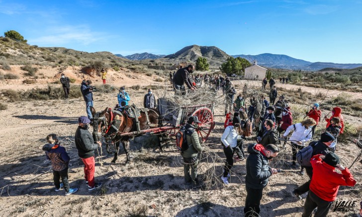 La recogida de leña para la hoguera de San Antón y la jornada de puertas abiertas este fin de ...