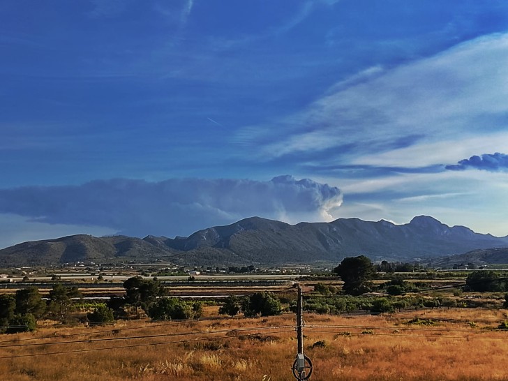 Previsión para Moros y Cristianos - Valle de Elda